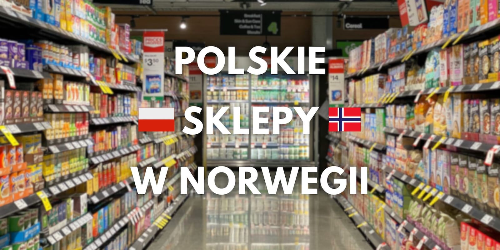 POLSKIE SKLEPY W NORWEGII [2025] 🇵🇱🇳🇴 → sprawdź sklepy w Oslo, Høvik, Drammen, Ski